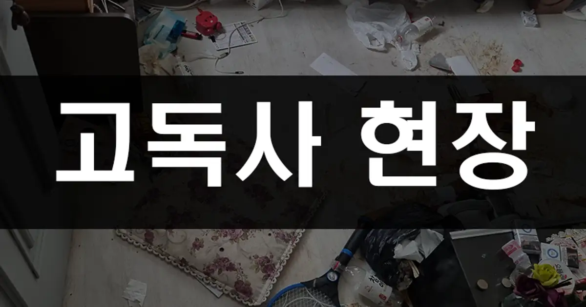 고독사 유품정리 현장 종합청소대행업체 먼지털이범 숨고 숨은고수
