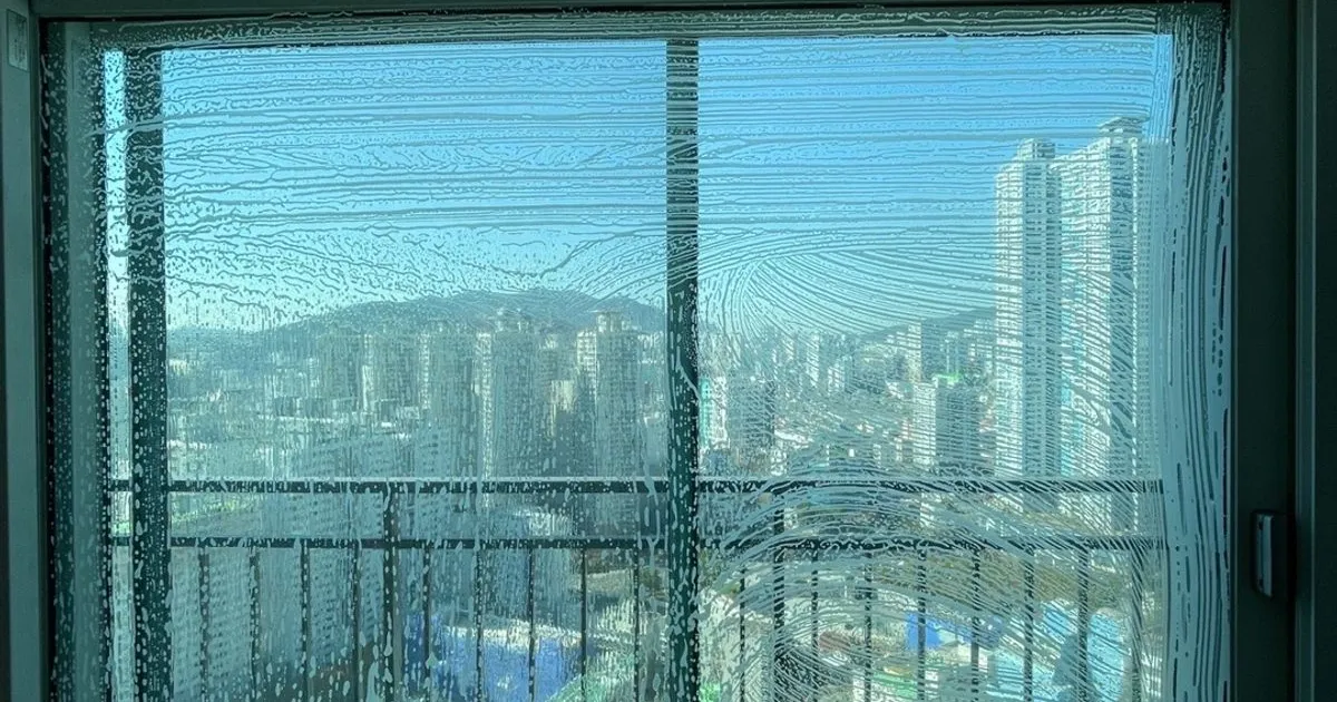 신축 입주아파트 뽀득한 집 숨고 숨은고수