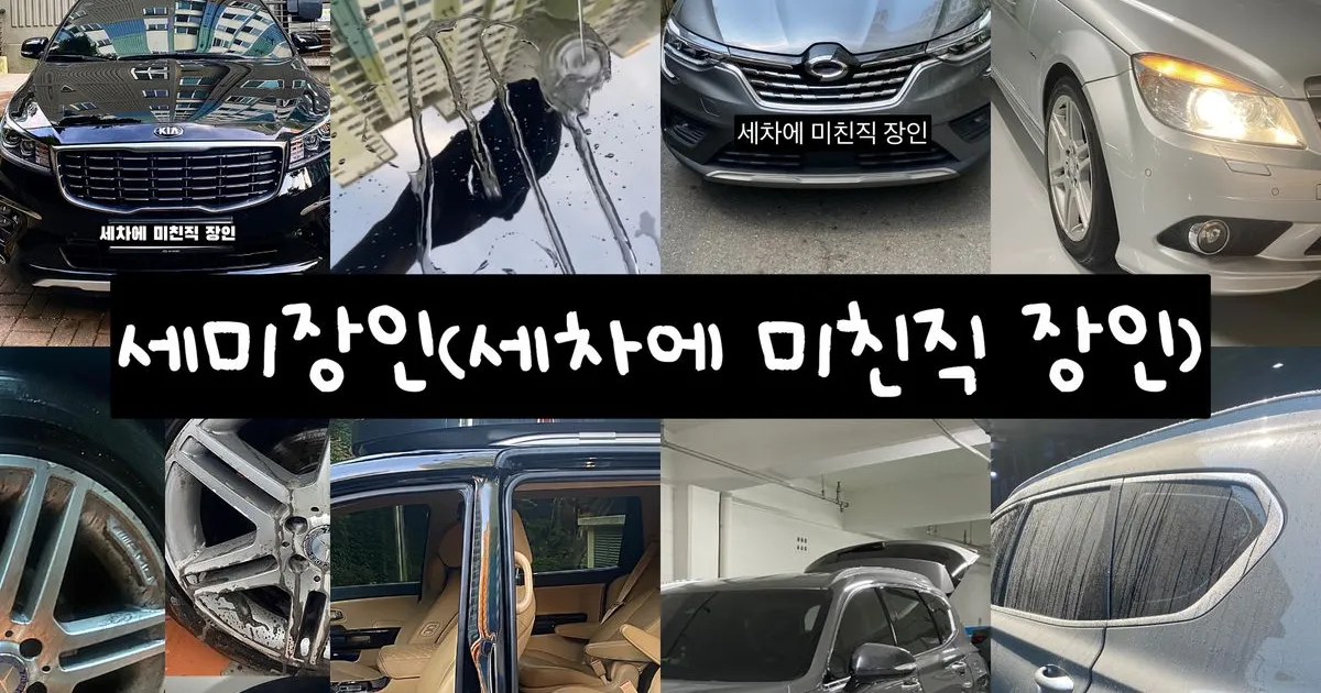 세미장인 출장세차 1인 디테일러 디테힐링👍 세차에미친직장인semidetail 숨고 숨은고수