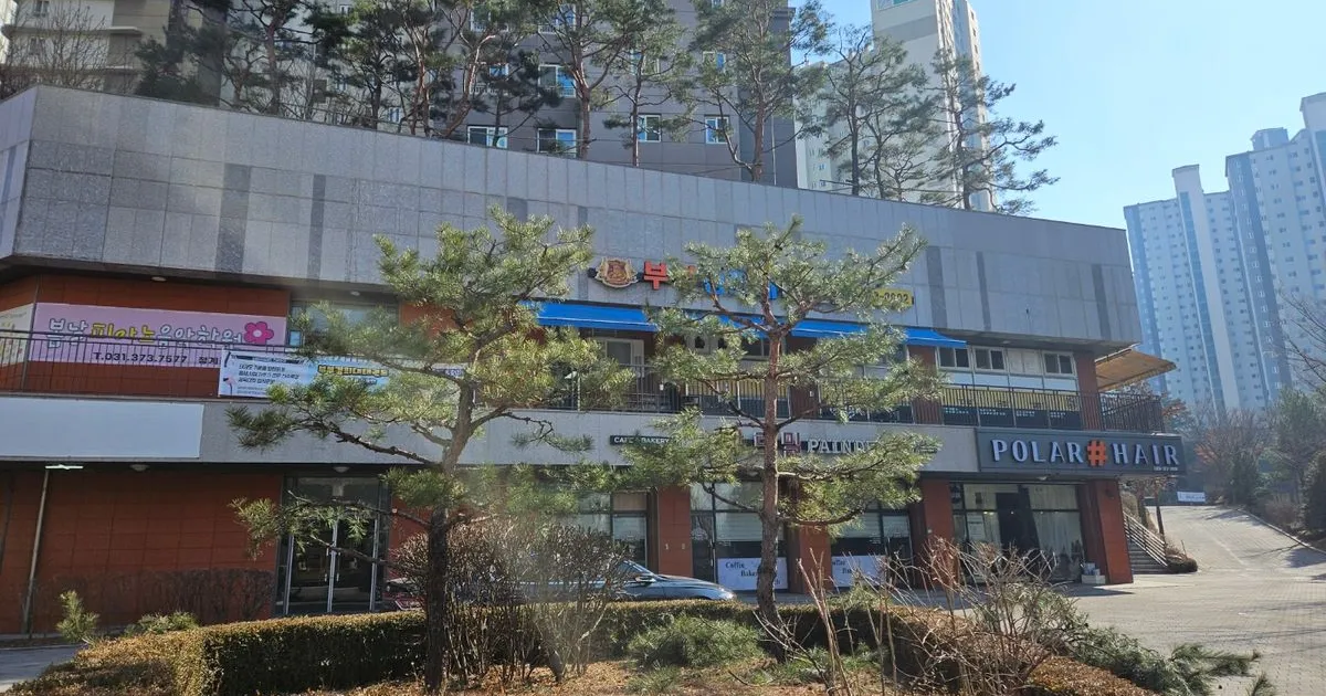동탄역센트럴푸르지오아파트 소나무 285주 전지 작업 꽃피는조경 숨고 숨은고수
