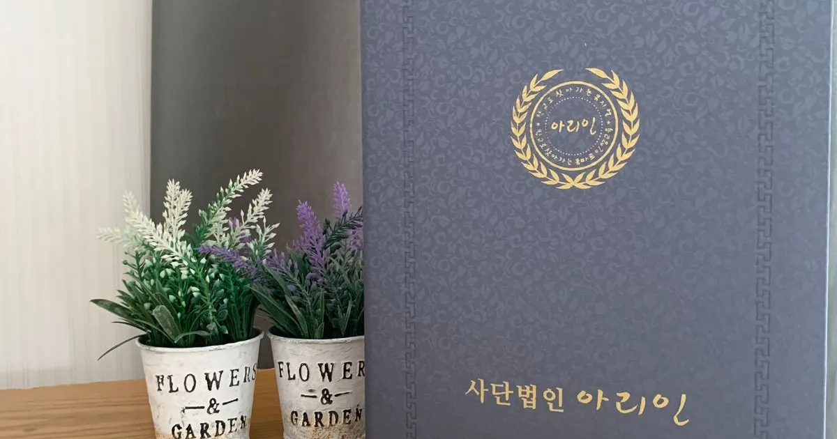 전국대회 콩쿨 입상 유세은 숨고 숨은고수