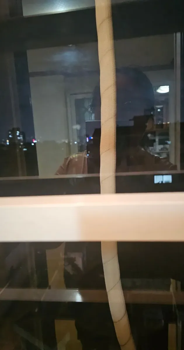창틀청소 내집처럼 청소 숨고 숨은고수