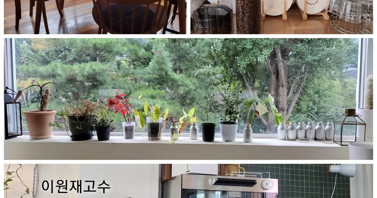 카페 이사 합니다 이원재 숨고 숨은고수