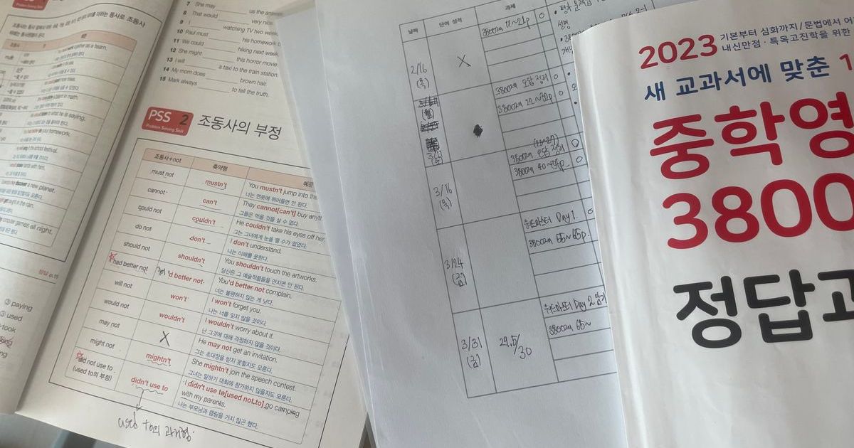초등 영어 과외 김재현 숨고 숨은고수