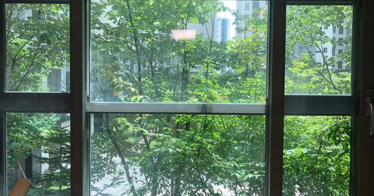 유리창청소 평촌 어바인퍼스트 깨끗한하루 숨고 숨은고수