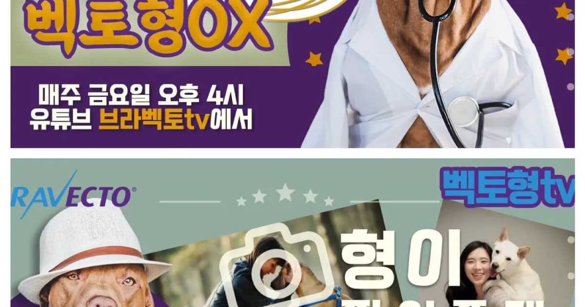 브라벡토 썸네일 제안 디자인 박민주 숨고 숨은고수