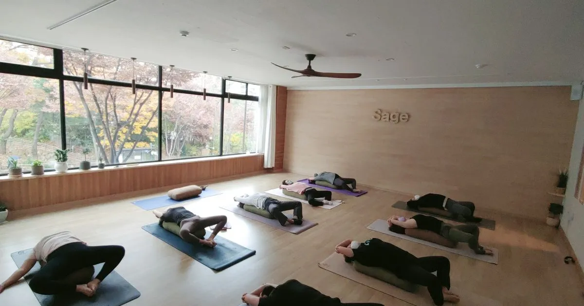 몸과 마음의 건강으로 안내하는 ☘️요가🌷세이지 요가세이지 숨고 숨은고수