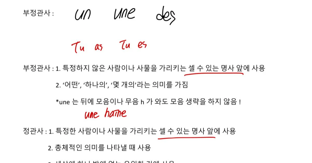 자체 교재 샘플 알찬 불어 과외 정확한 번역 박혜은 고수 숨고 숨은고수