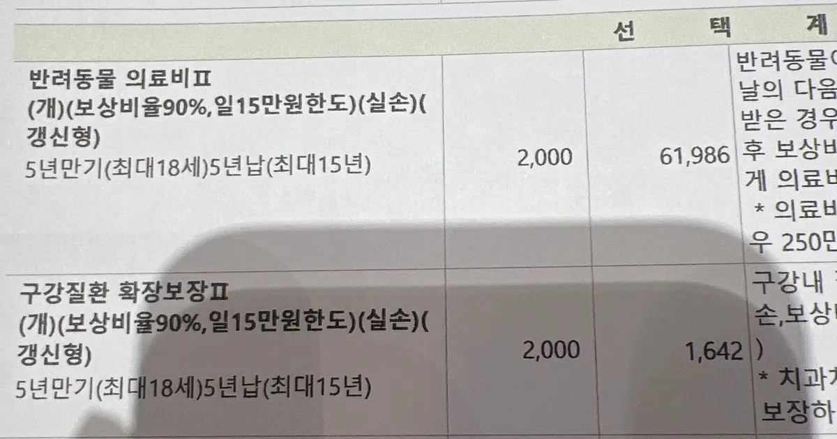 3세 여자아이 믹스견 사 견적 일등펫보험상담사 송주한 숨고 숨은고수