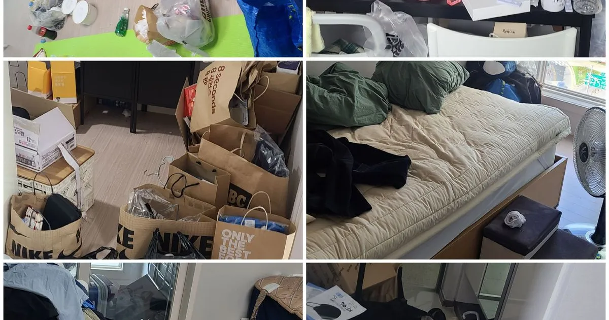 쓰레기집청소 전문업체 브로클린 이훈민 숨고 숨은고수