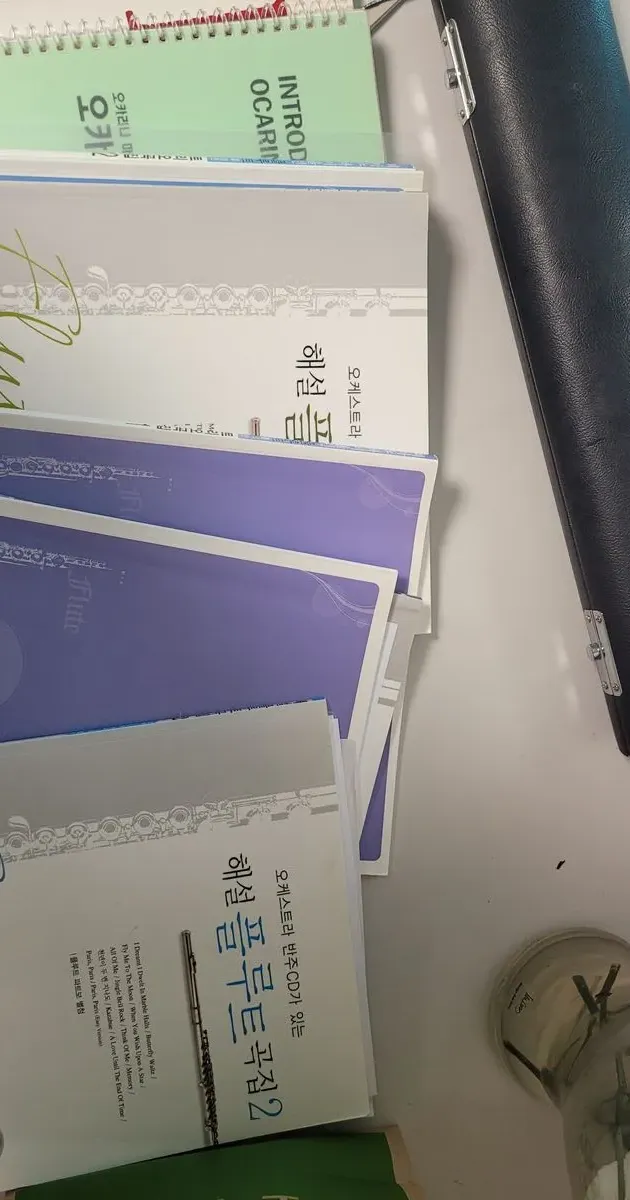 플루트 레슨 플루트 기초 취미 전공 교실 숨고 숨은고수