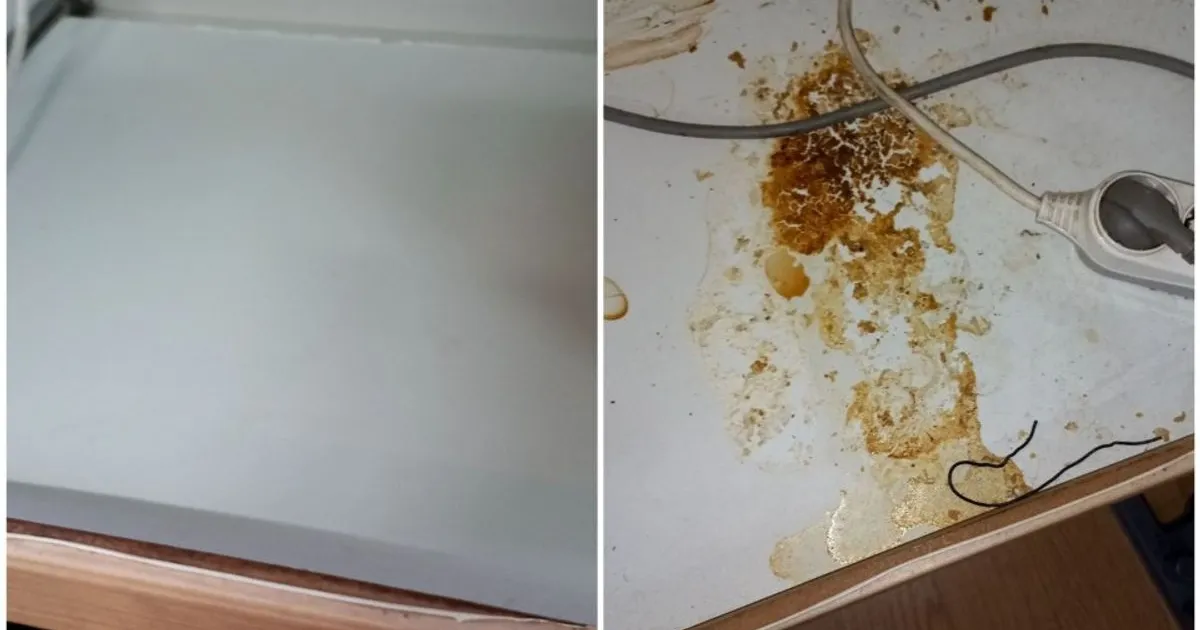 아파트 거주 청소 프리미엄 정기청소 전문 업체 신데렐라 클린 숨고 숨은고수