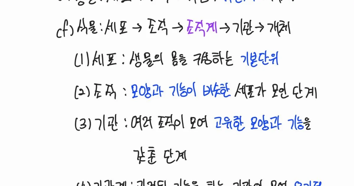 중등과학필기자료 서제현 숨고 숨은고수