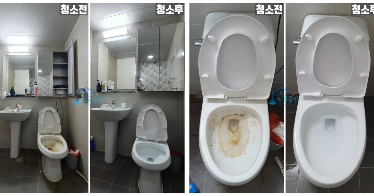 영남대 원룸 쓰레기집 청소특수청소 말끔클린 숨고 숨은고수