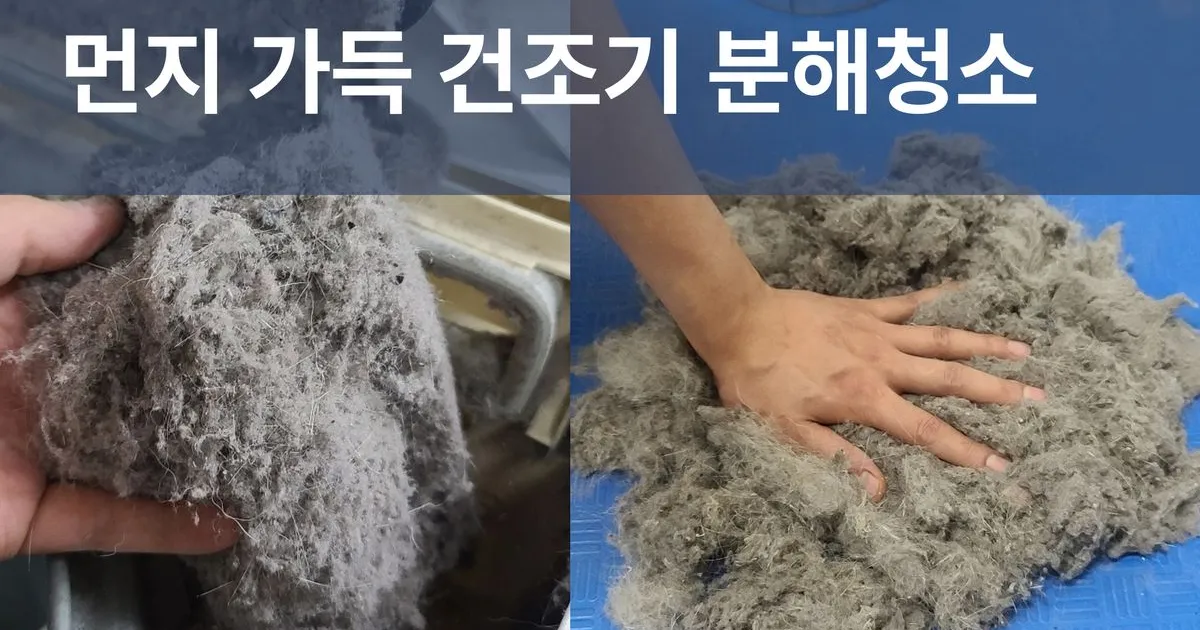 건조기 완전 분해 세척 공기청정소 최저가 완전분해 숨고 숨은고수