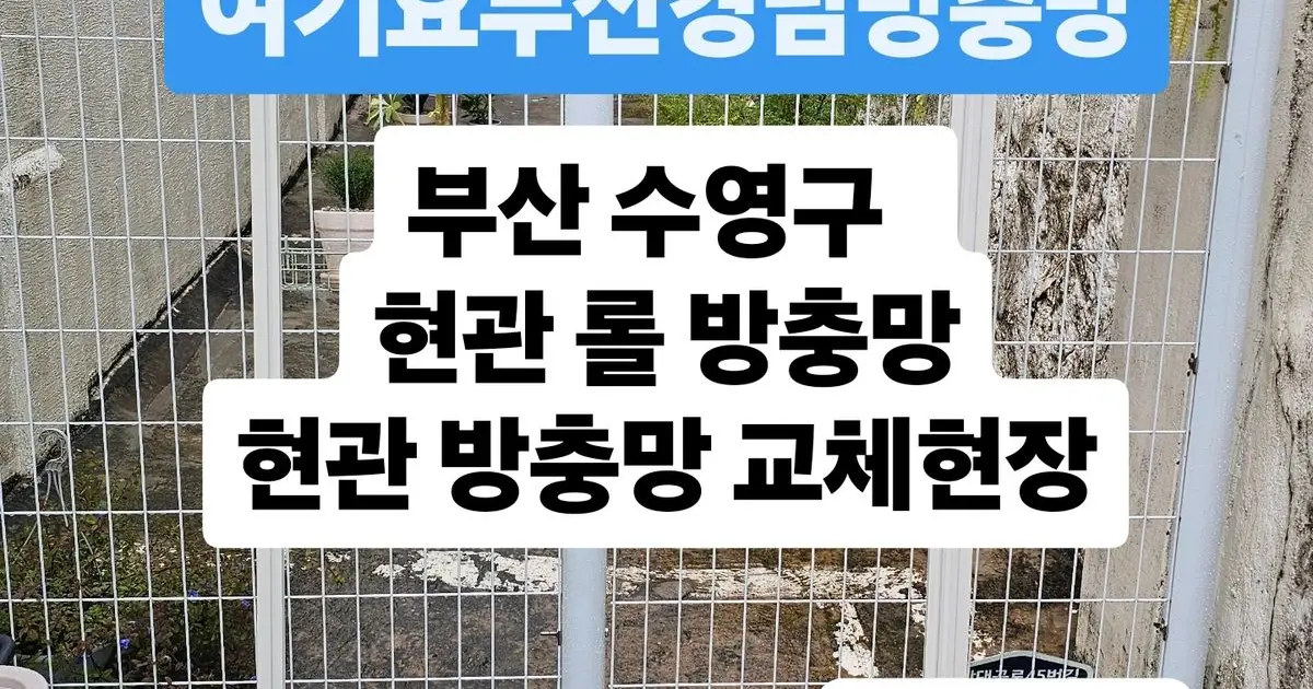 부산 수영구 현관롤 방충망 롤방충망 여기요방충망 숨고 숨은고수