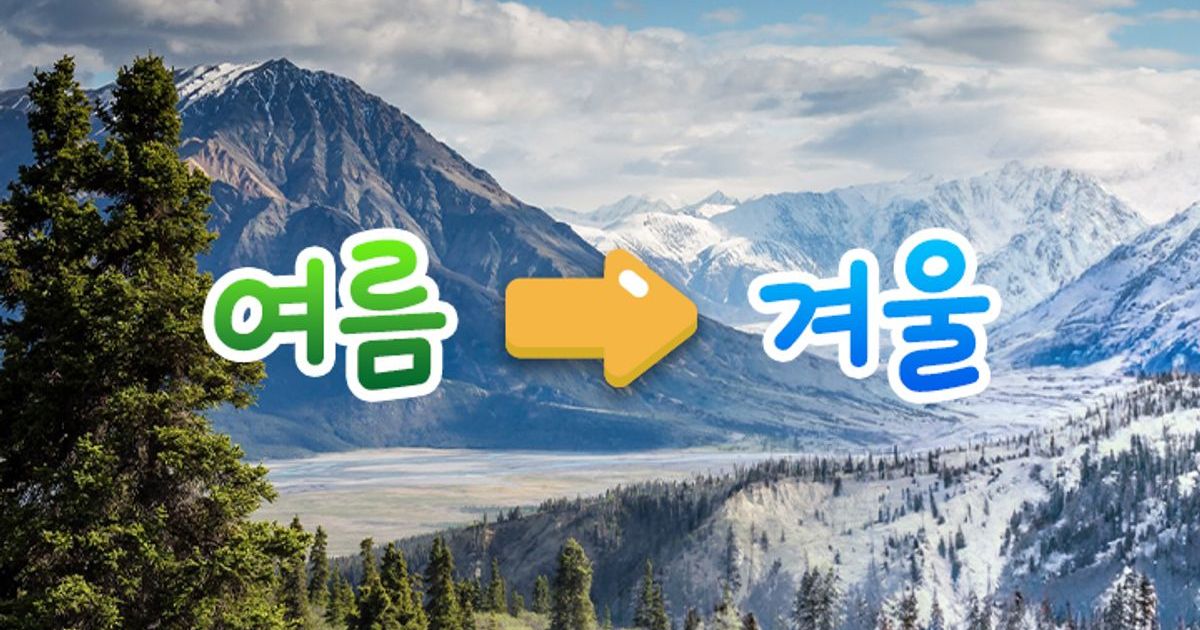사진 계절 바꾸기 레슨 양솔지 숨고 숨은고수
