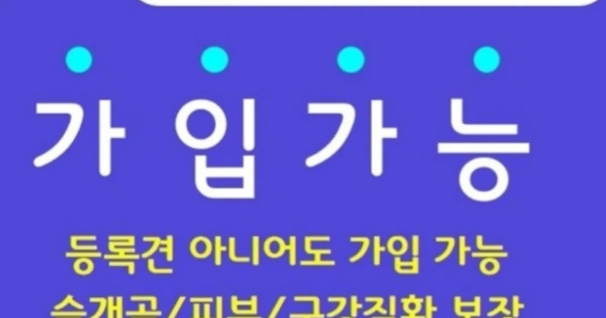 36개 보험사 비교견적 보험금청구 김효진 숨고 숨은고수