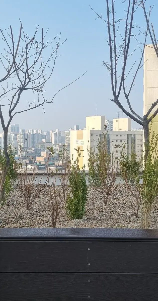 상계동 옥상 플랜트박스 장군종합개발 숨고 숨은고수