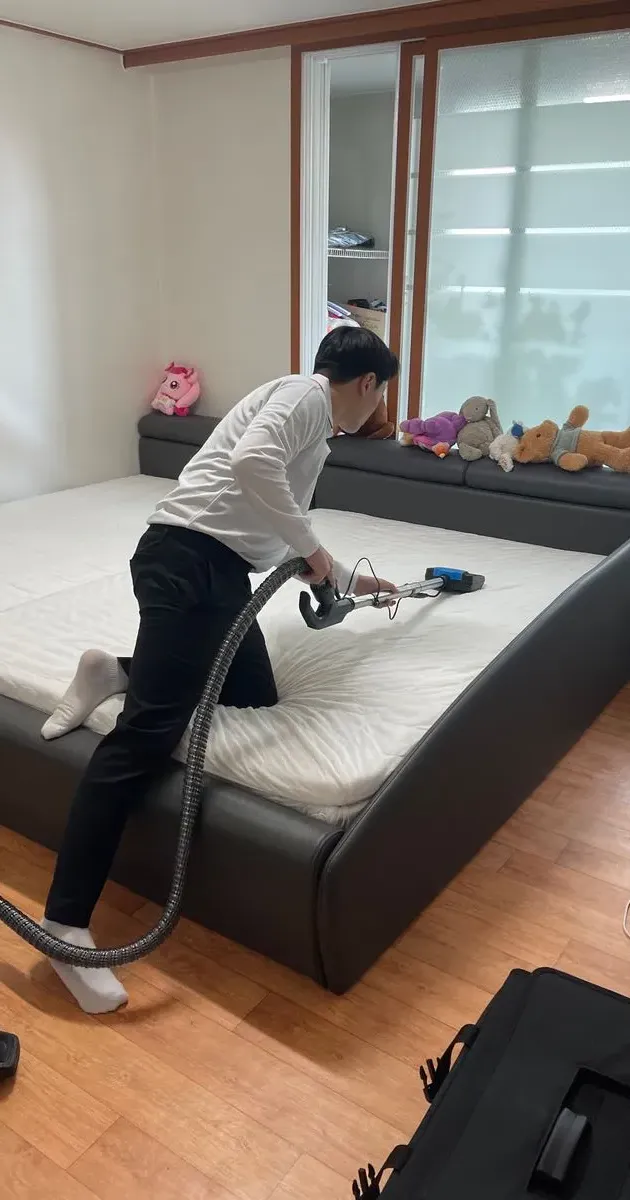 매트리스 건식 케어 비치움 밝은청년 홈케어 숨고 숨은고수