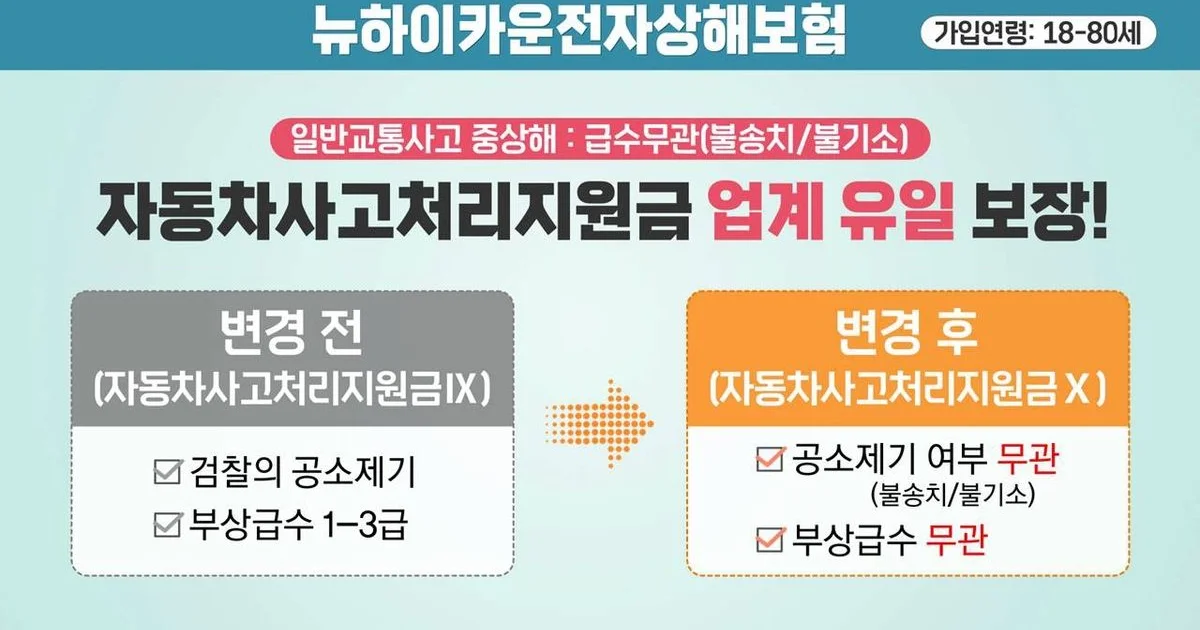 운전자 보험 오석환 숨고 숨은고수