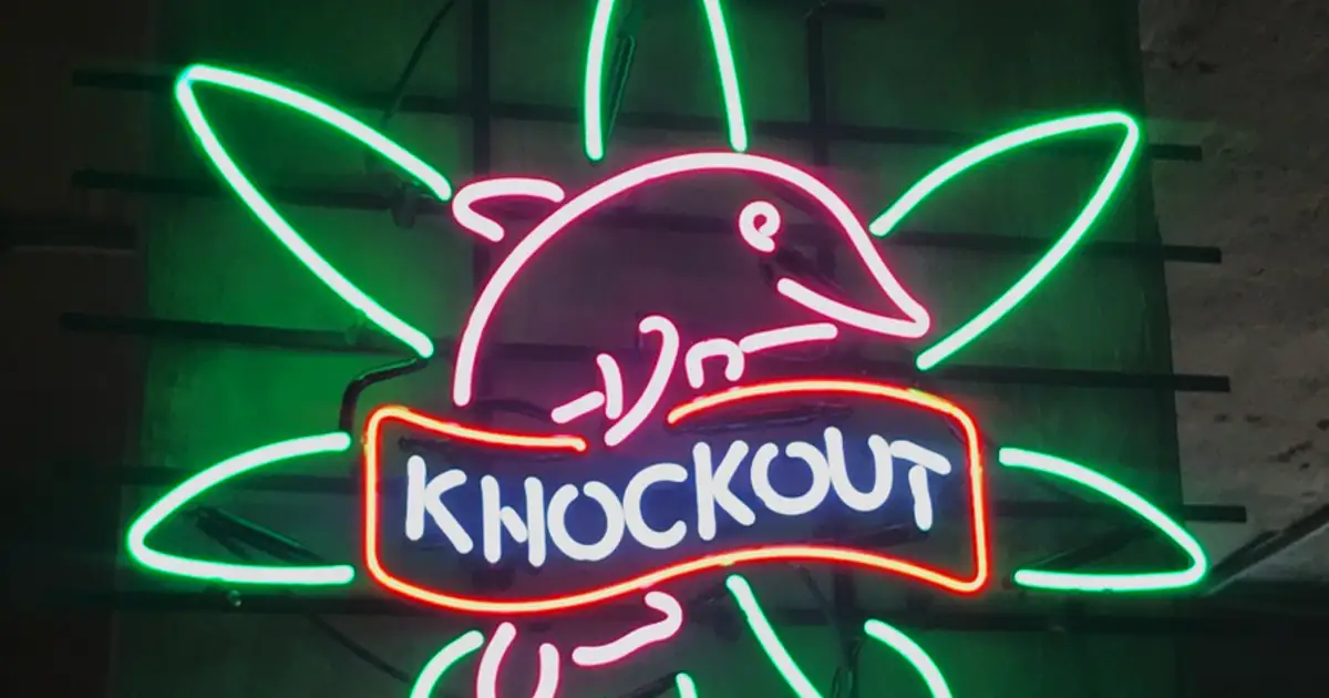 사인물디자인 카페 Knockout 이수진 숨고 숨은고수