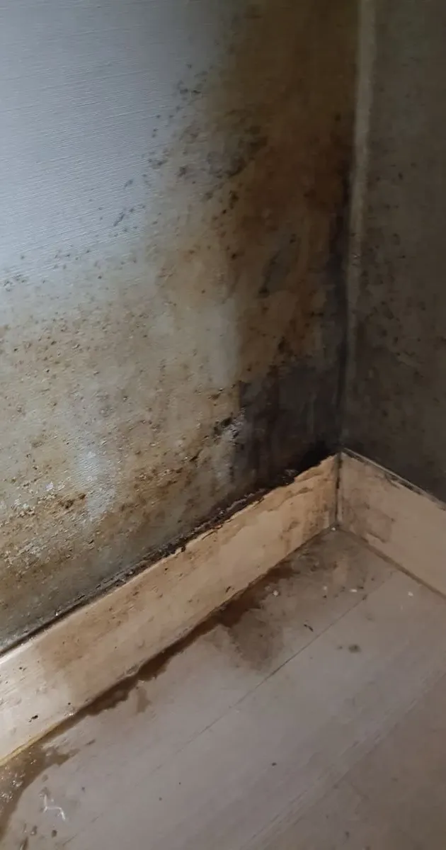 세종 새뜸마을2단지 이사청소 온 힘을 쏟은 곳 마음까지 시원홈케어입주이사청소블라인드커튼 숨고 숨은고수