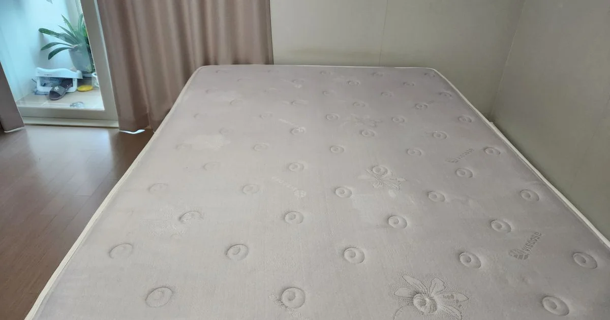 퀸사이즈 침대 건습식 얼룩제거 침대소파카펫 새로클린 화성 봉담점 숨고 숨은고수