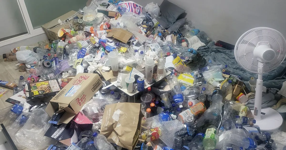 이젠 사람 같이 살게요 청소일번지본점일구크린 숨고 숨은고수