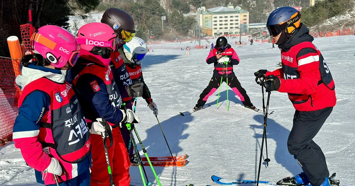 저렴하진 않지만 확실한 스키강습 Easy Ski Academy 숨고 숨은고수