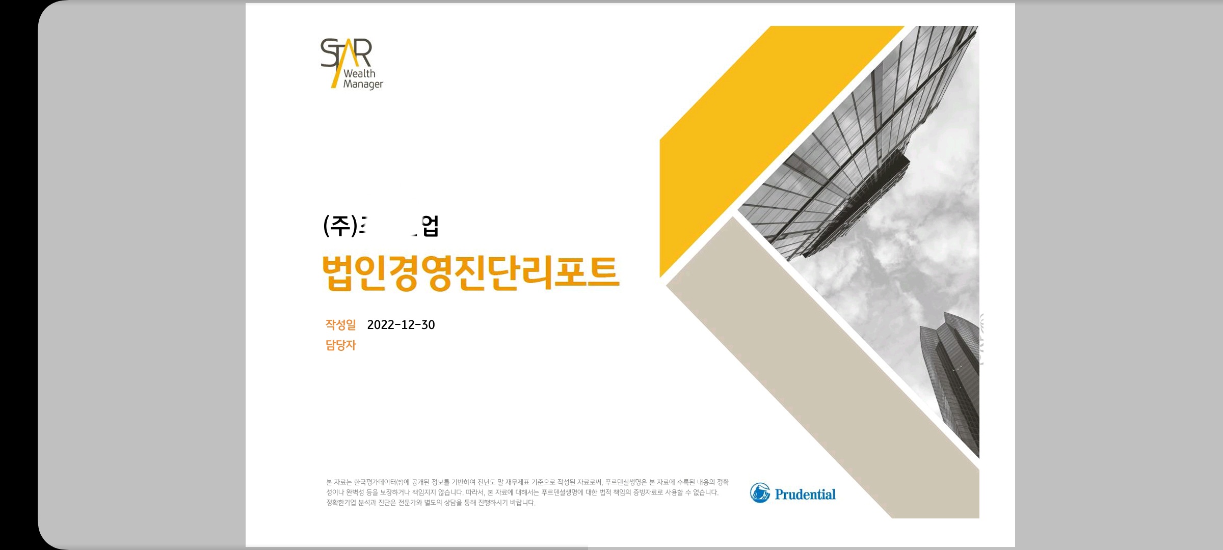 법인경영진단리포트 노주현 숨고 숨은고수