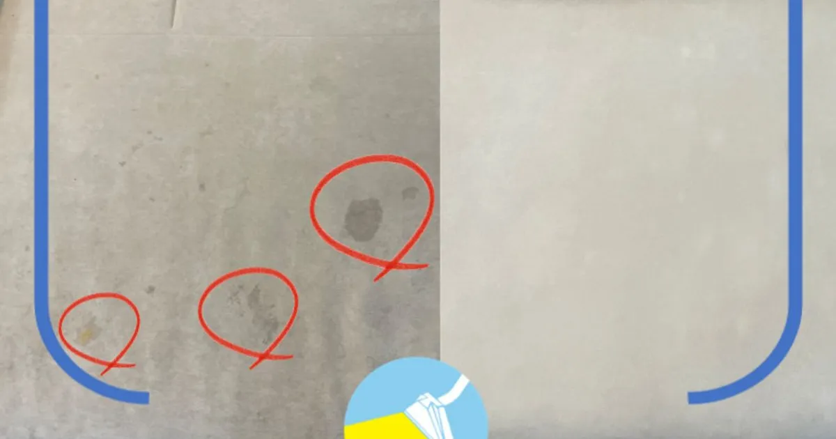에싸소파 세탁 강아지 발자국 제거 예소클린 성남점 숨고 숨은고수