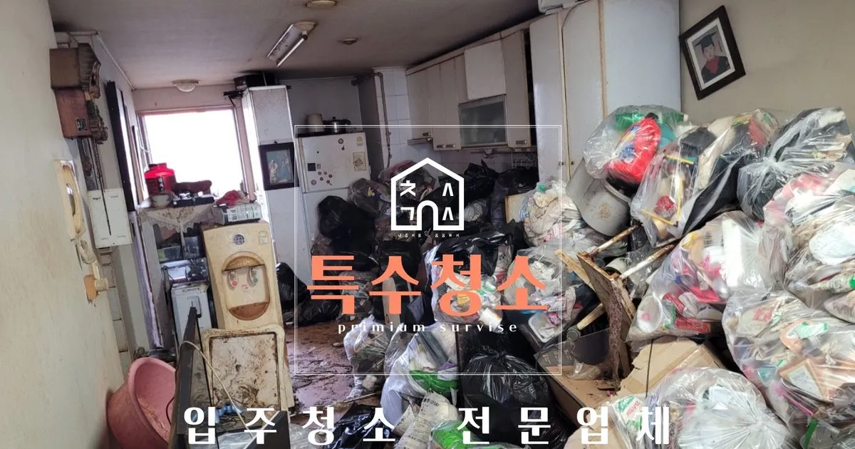 쓰레기집 특수청소 청소의고수 숨고 숨은고수