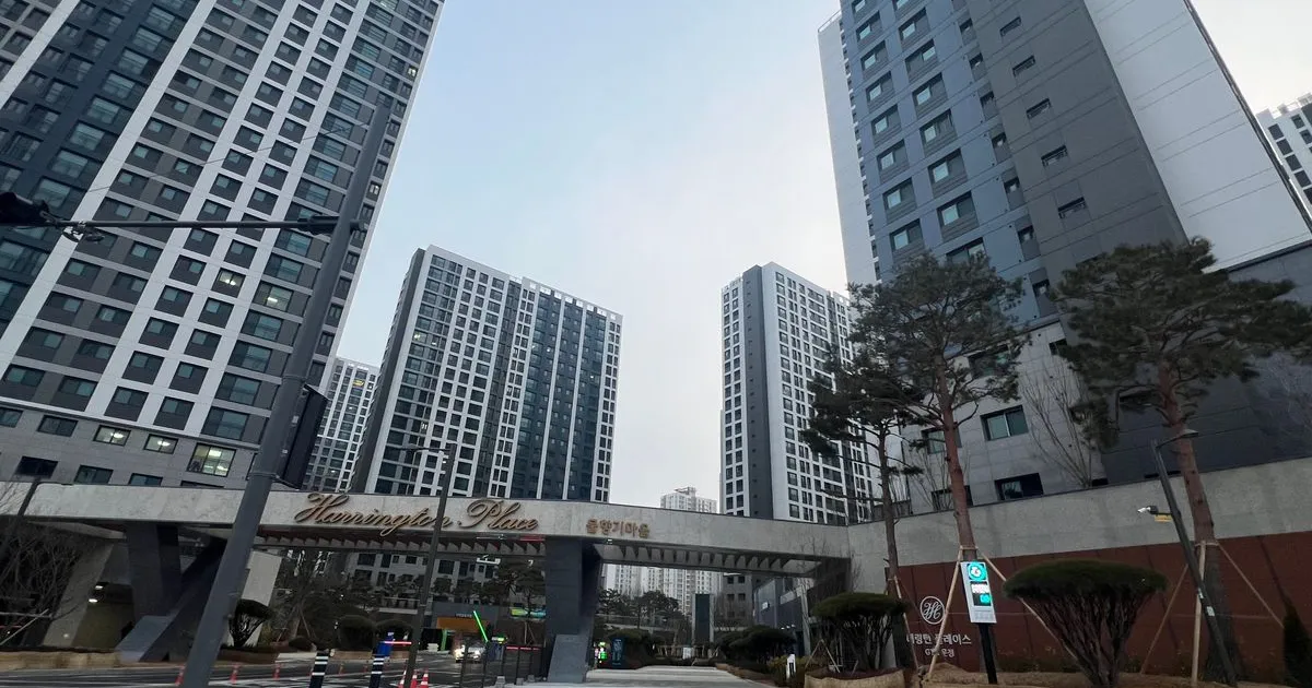 신축 파주 헤링턴플레이스 차차클린 숨고 숨은고수