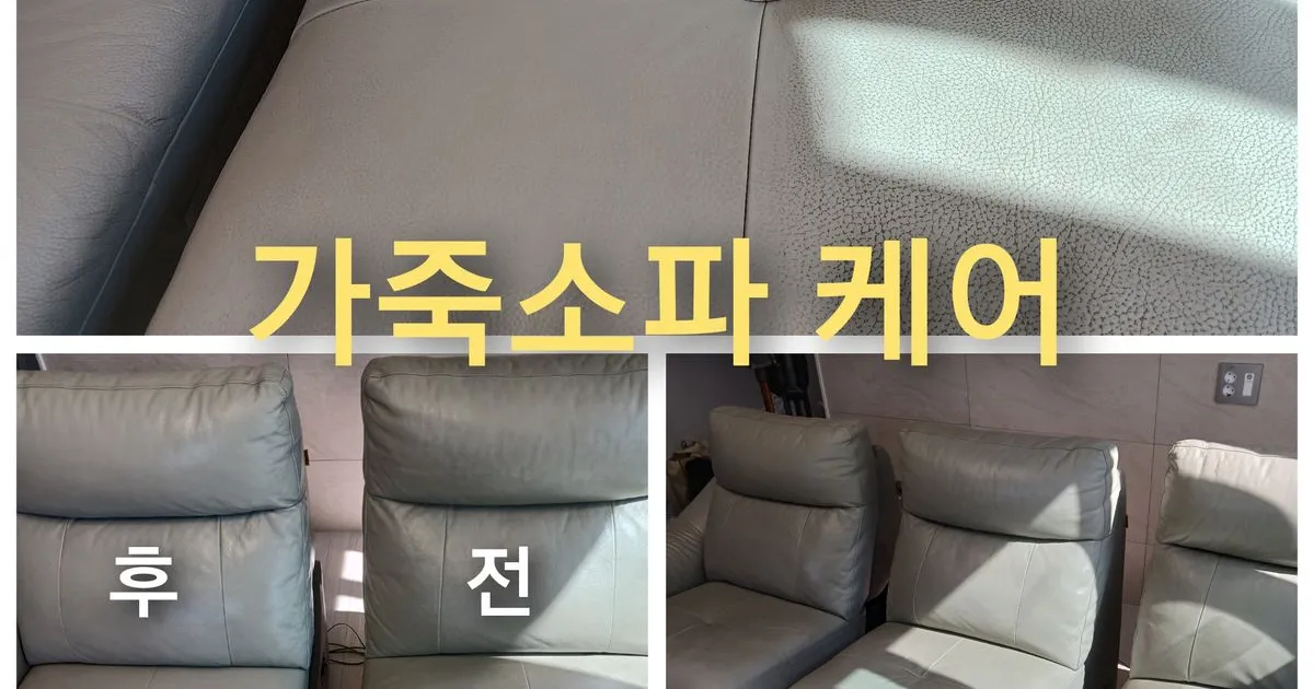 가죽 소파케어 클린프렌즈 김비오 대표 숨고 숨은고수