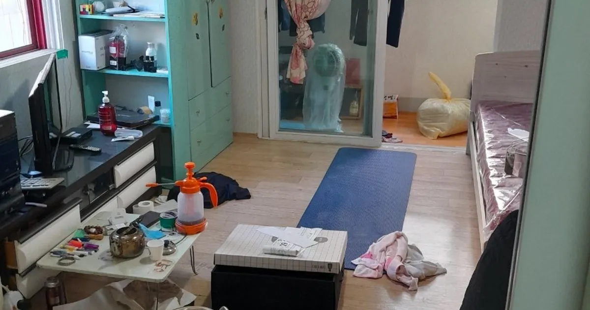 빌라 집정리 생활폐기물 수거 집정리114 숨고 숨은고수