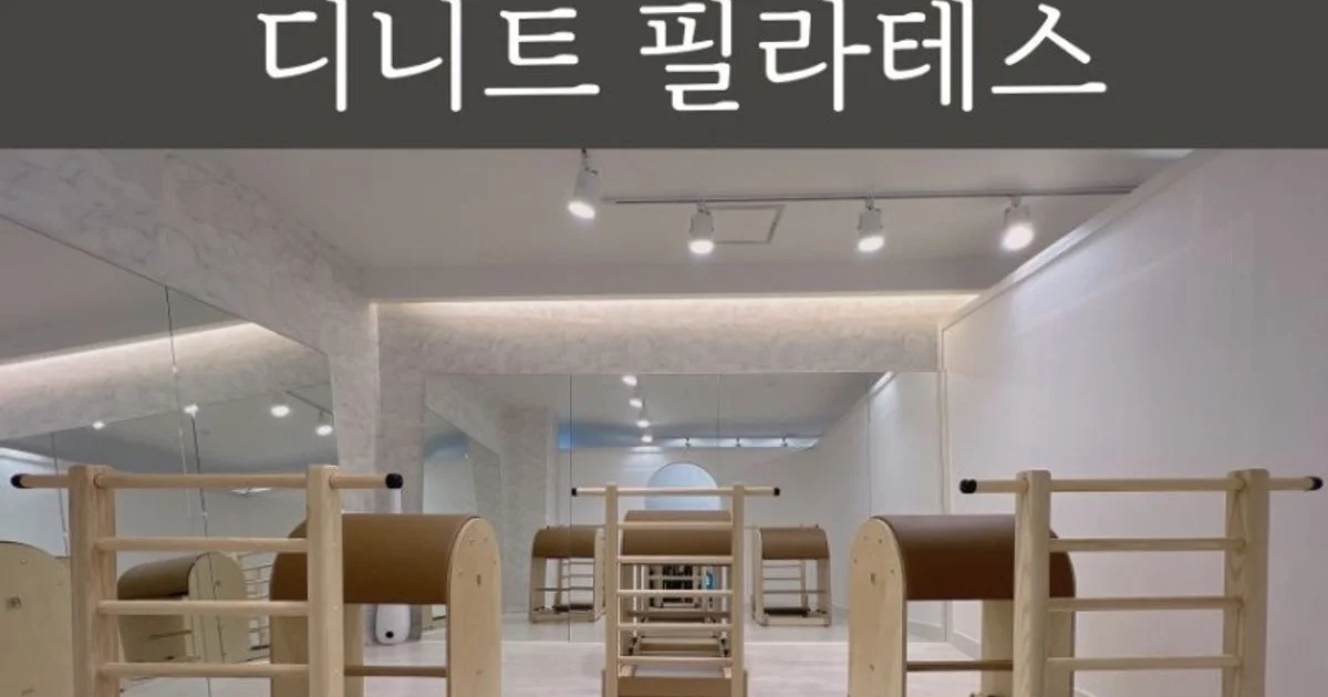 디니트 필라테스 소개 디니트필라테스 숨고 숨은고수