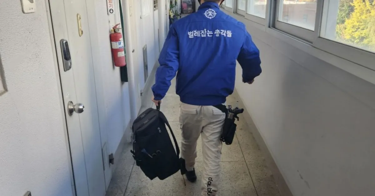 가정집 바퀴벌레 많은집 벌레잡는총각들강서지사 숨고 숨은고수