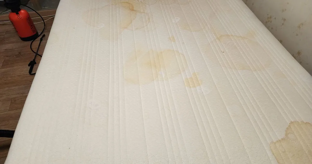 매트리스 얼룩제거 침대클리닉 숨고 숨은고수