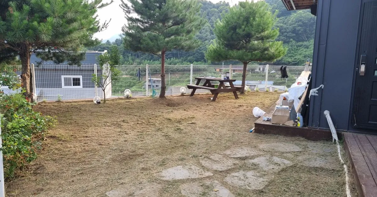 수동면 전원주택 예초기 및 제초작업 조은장례벌초 숨고 숨은고수