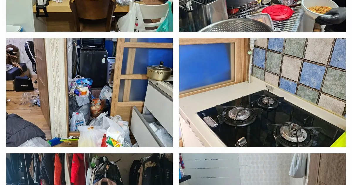 거 청소 전문적으로하고있습니다ㆍ씽크대ㆍ수납장정리정돈ㆍ 장수민 숨고 숨은고수