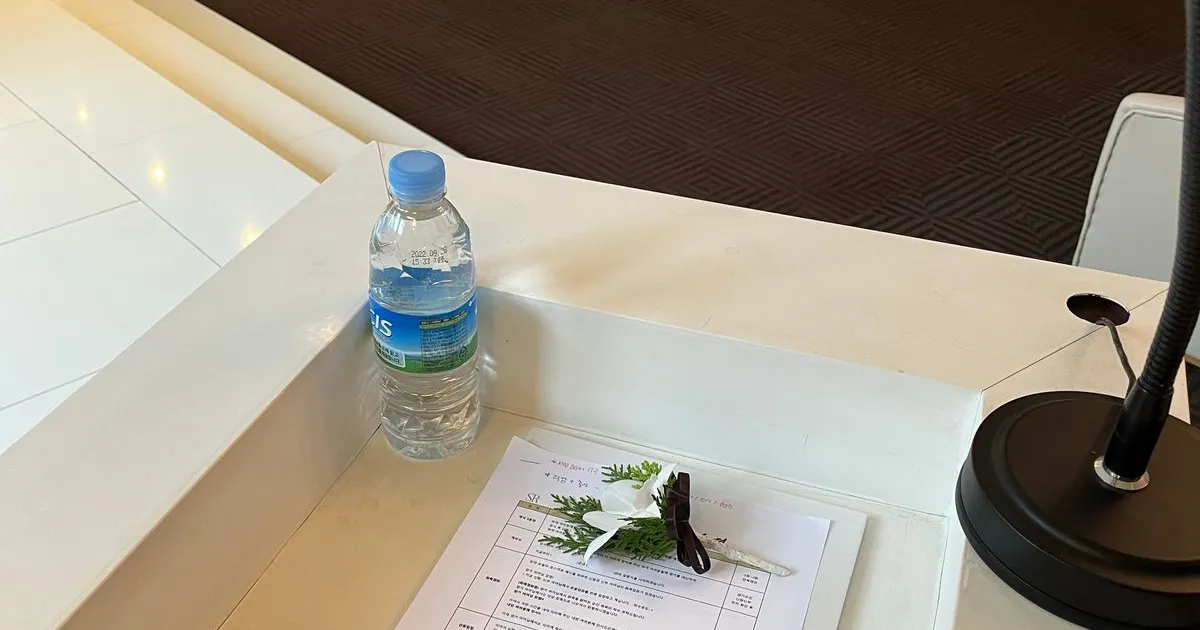 선릉 상록아트홀 주례없는 예식 정상일 숨고 숨은고수