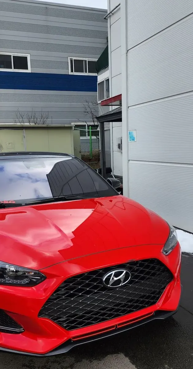 벨로스터js 그릴 Acc마크교환배터리교체 덩치스타일 숨고 숨은고수