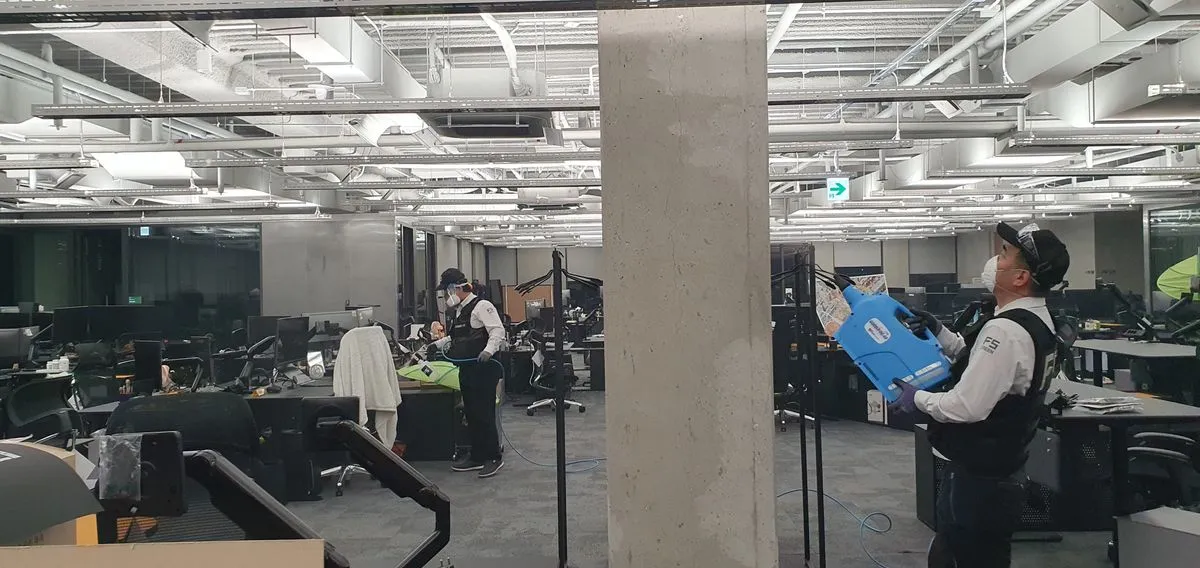 새집증후군 냄새 제거 전문기업 새집헌집 증후군 해충방제 전문 그린f5강남본부 숨고 숨은고수