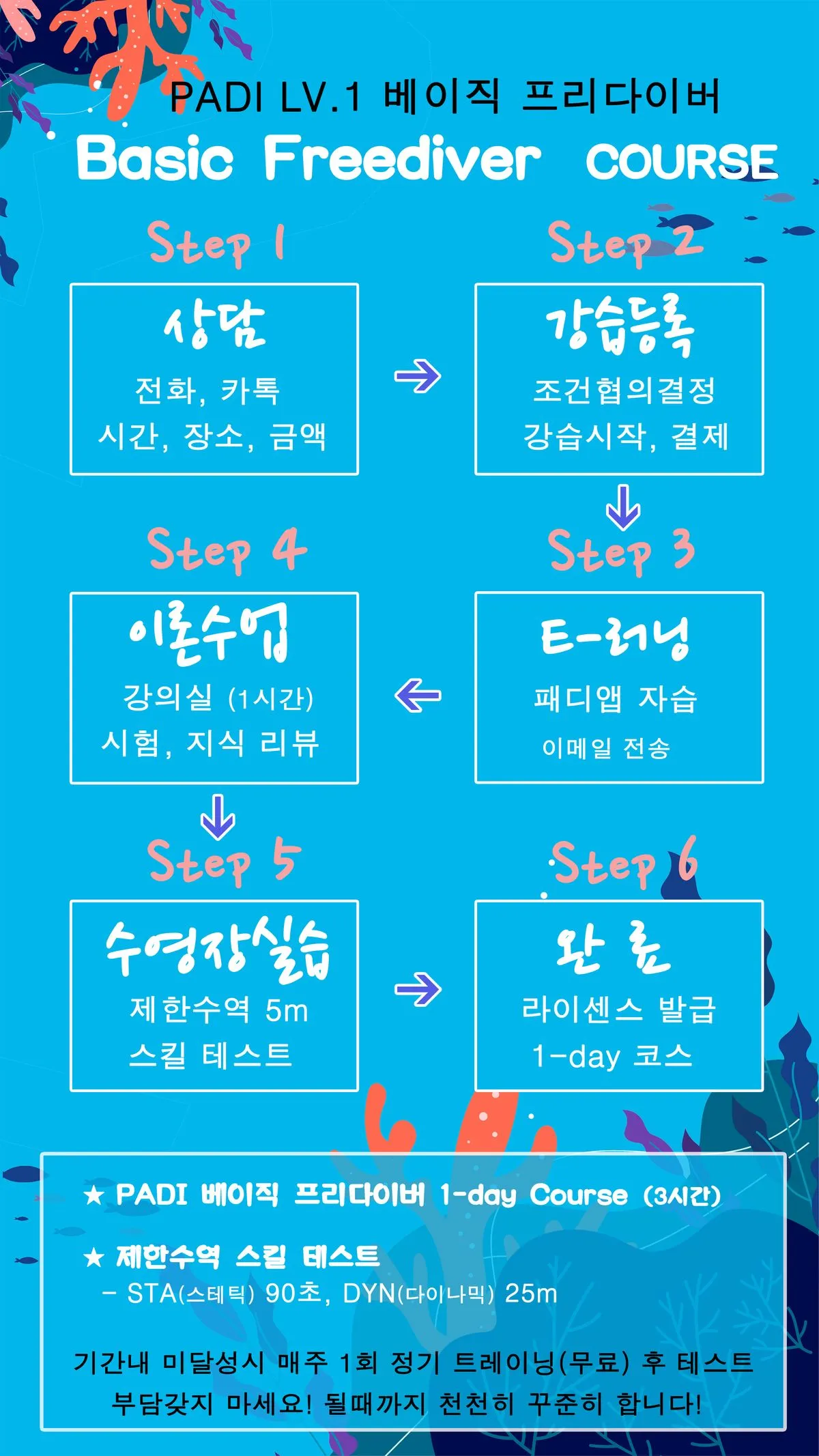 Padi【베이직 프리다이버】 Lv 1 「잉여로운 바다」 김경훈 숨고 숨은고수