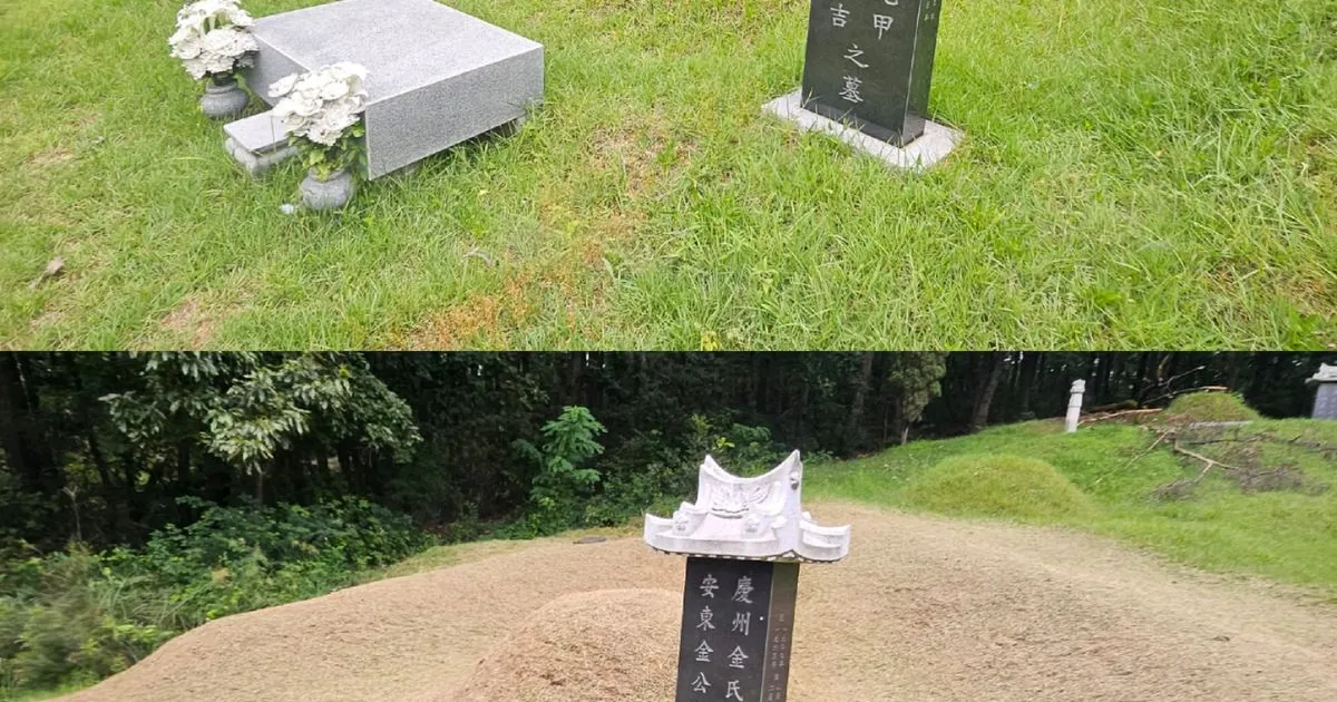 도봉구 봉분 1기 벌초 조수범 숨고 숨은고수