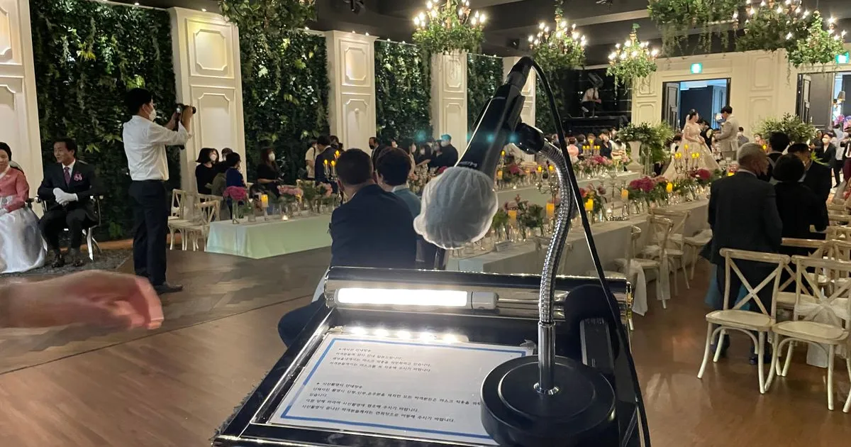 더그레이스켈리 주례없는예식사회 박고운 숨고 숨은고수