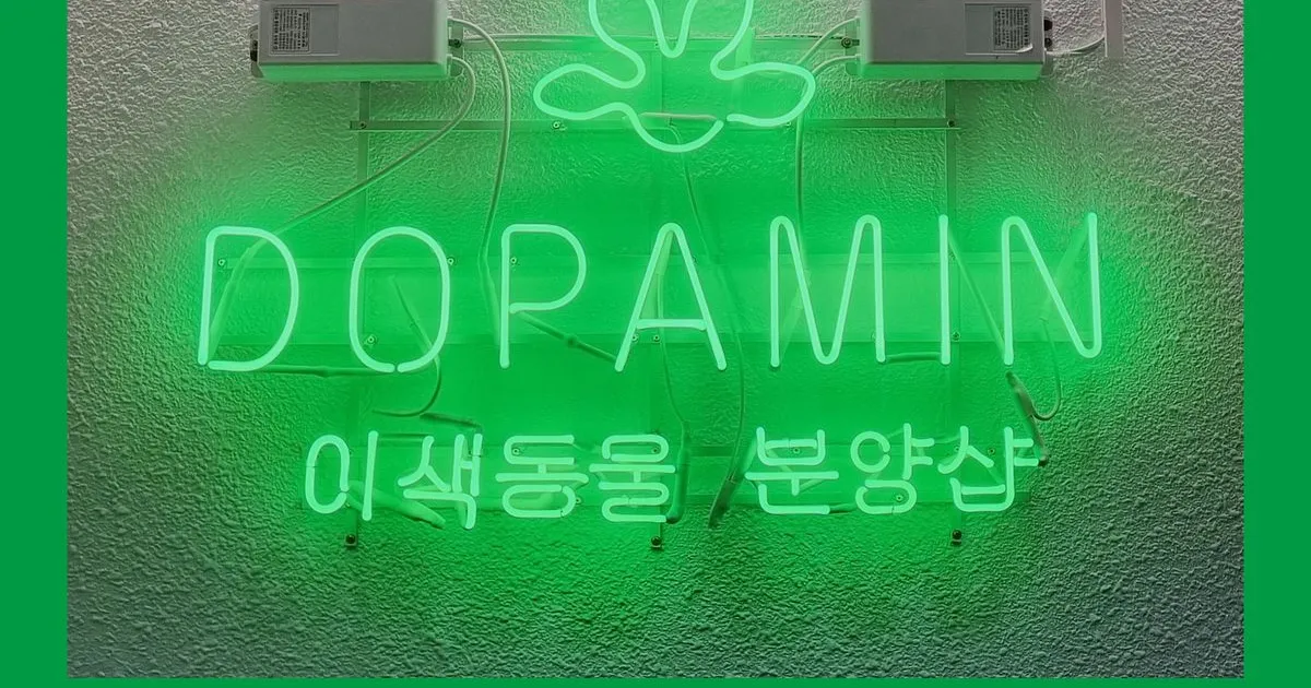 도파민 이혜린 숨고 숨은고수