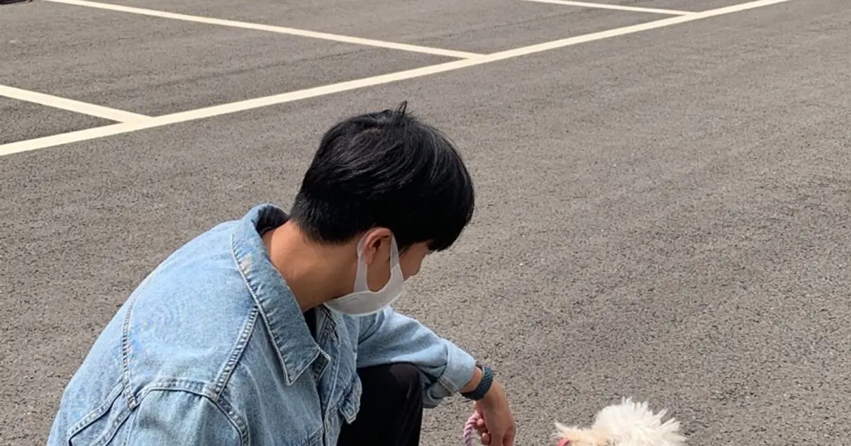 방문교육 산책교육 러브독트레이닝 숨고 숨은고수