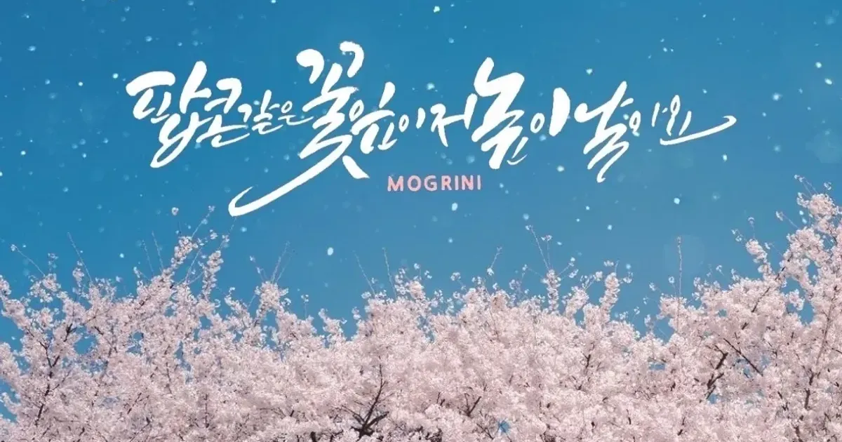 글씨맛집은 여기 입니다 Mogrini 숨고 숨은고수
